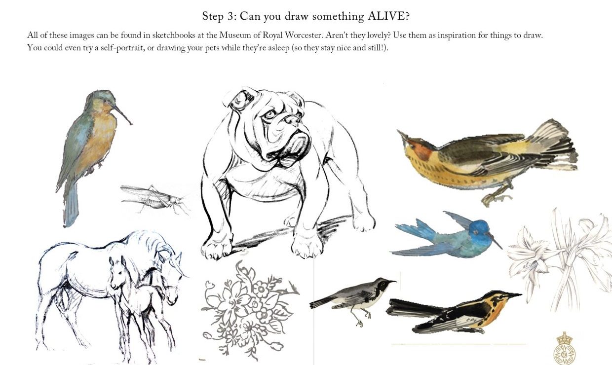 Museum of Royal Worcester | Draw From Life